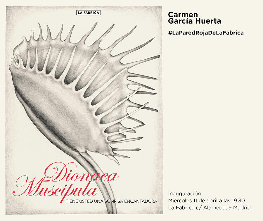 rechercher - Agent 002