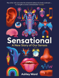 Sensational - Agent 002